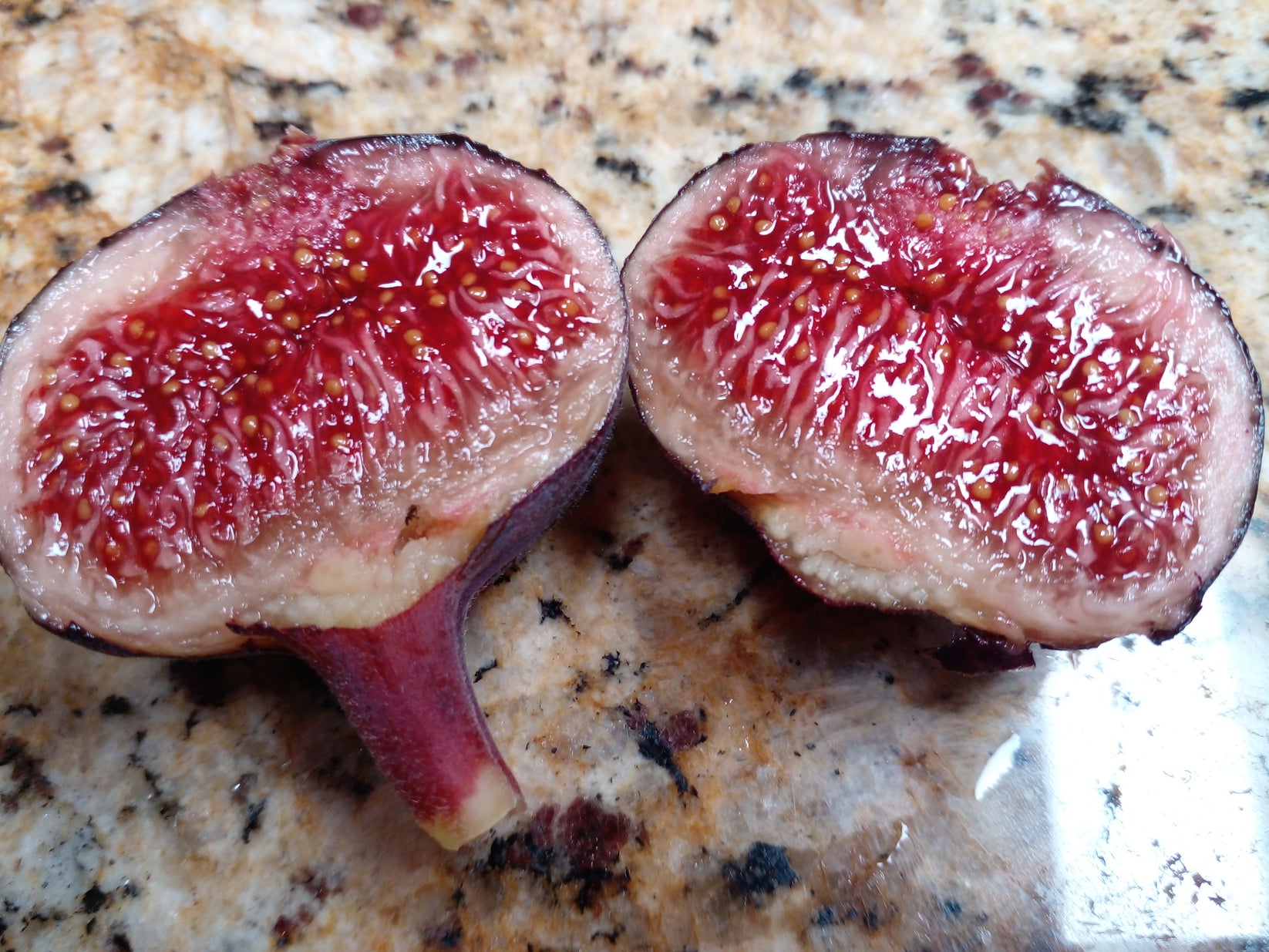Cherry Cordial Fig Tree - 2 Cuttings - Sweet Tangy Berry Flavor Figs ...