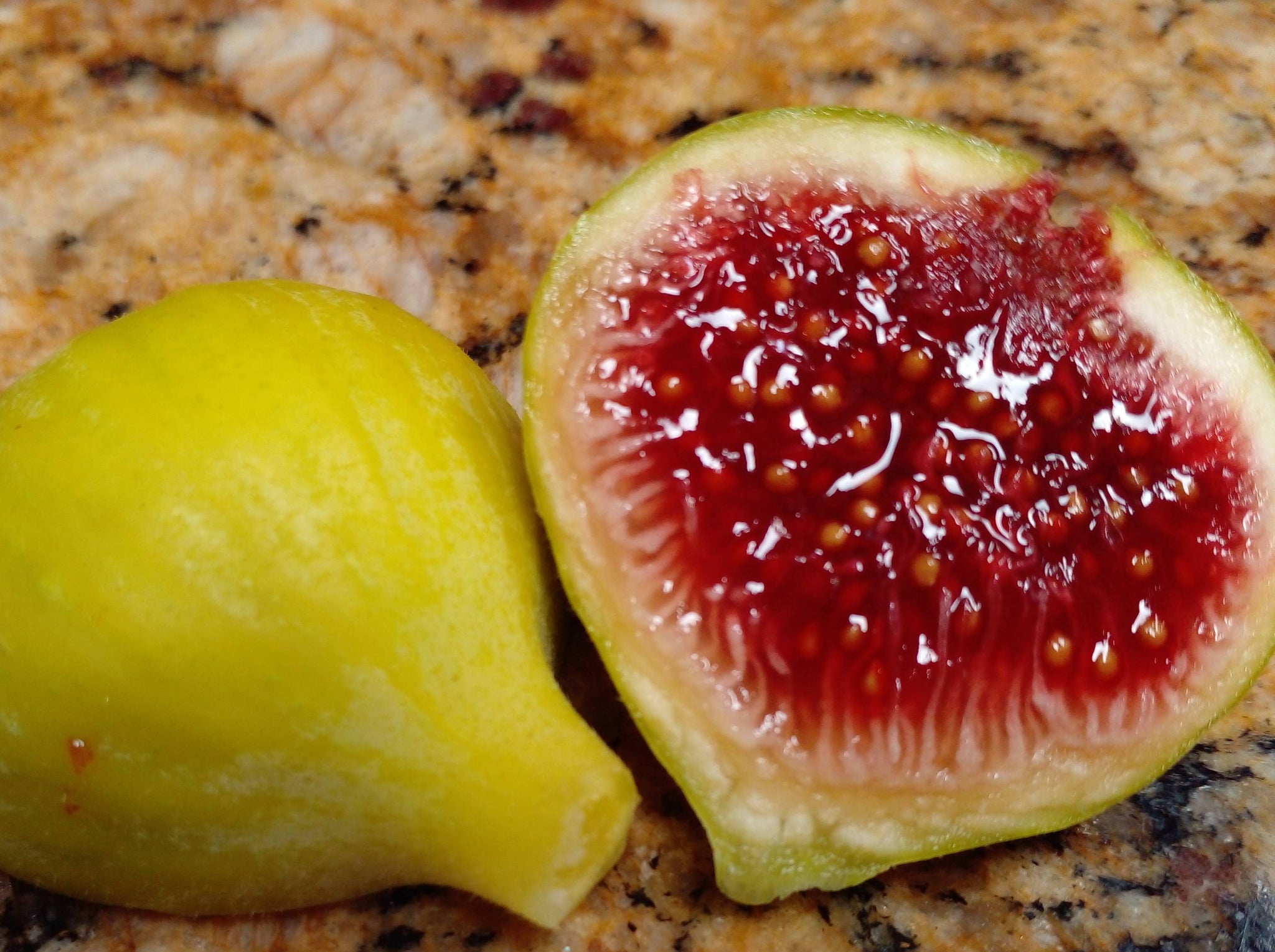 Ficus Palmata N1 Fig Tree - White Punjab Fig - 2 Cuttings - Tasty Uniq ...