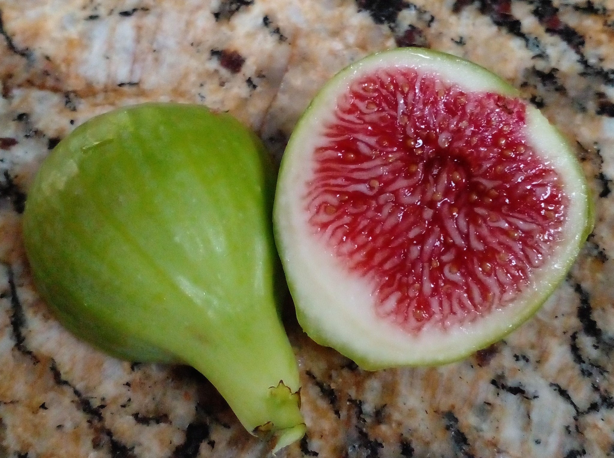 Strawberry Verte Fig Tree - 2 Cuttings - Easy to Root - Tasty Figs ...